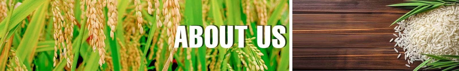 About Us | Apex Agrotec Pvt. Ltd.